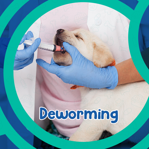 Deworming - Dr Vet