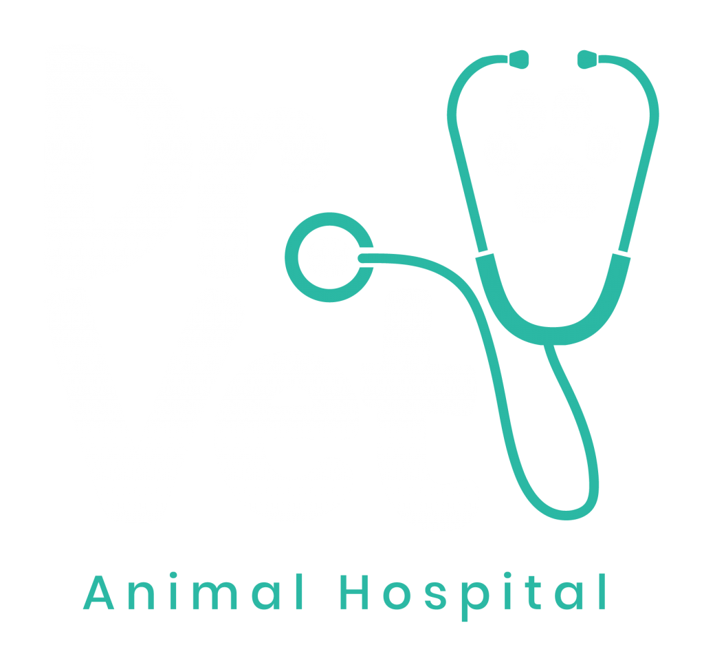 Contact us - Dr.Vet Animal Hospital
