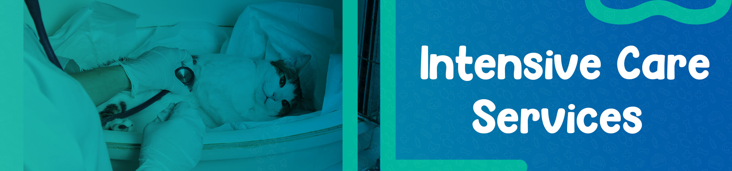 Intensive Care Services - Dr Vet